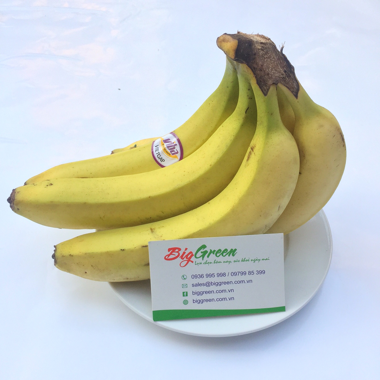 cung cấp chuối tiêu, chuyên cung cấp chuối tiêu